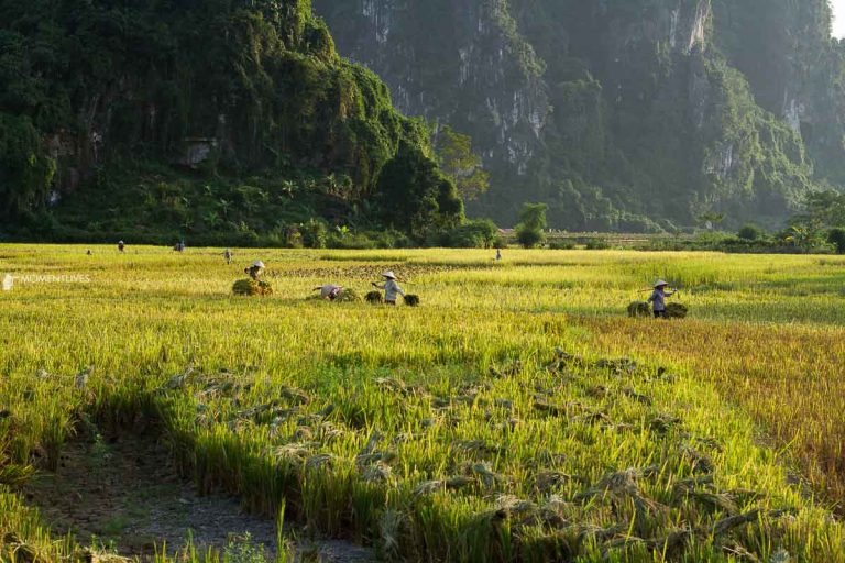 YESD Travel – Authentic. Responsible. Tours that Translate