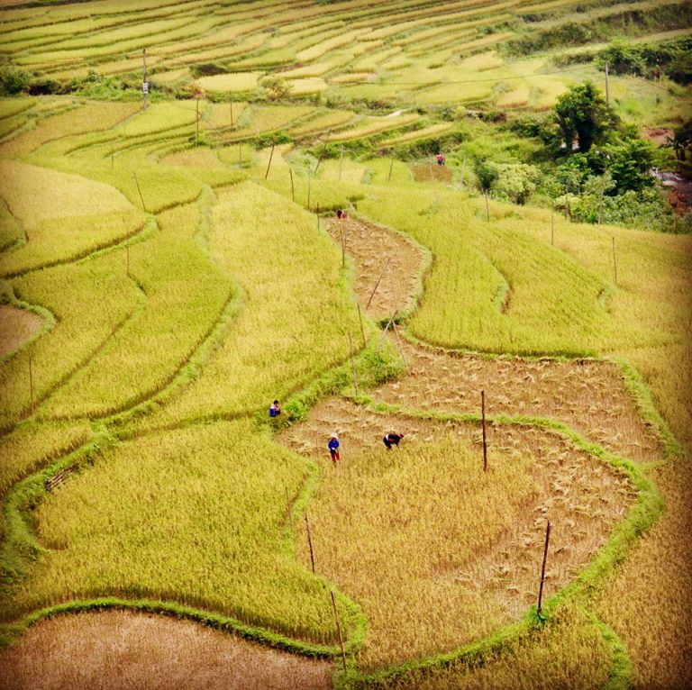 YESD Travel – Authentic. Responsible. Tours that Translate