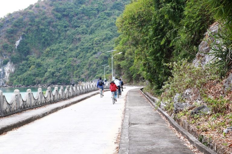 YESD Travel – Authentic. Responsible. Tours that Translate