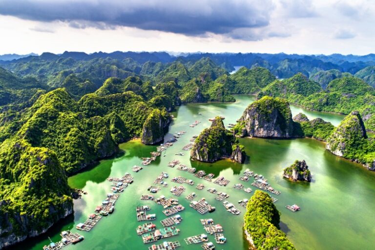 Cai Beo Fishing Village - An Unique Cultural Immersion In Cat Ba Island ...