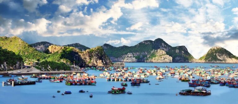 Discover The Beauty Of Cat Ba Beaches: Sun, Sand, And Serenity – YESD ...