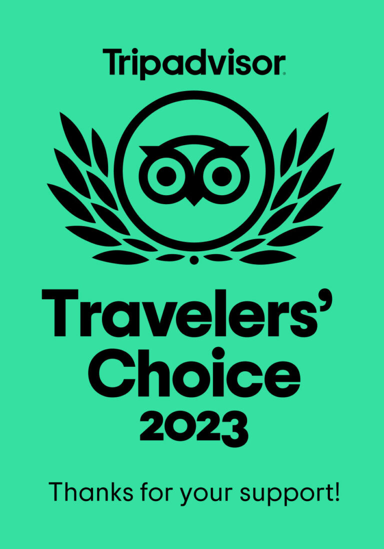 YESD Travel – Authentic. Responsible. Tours that Translate