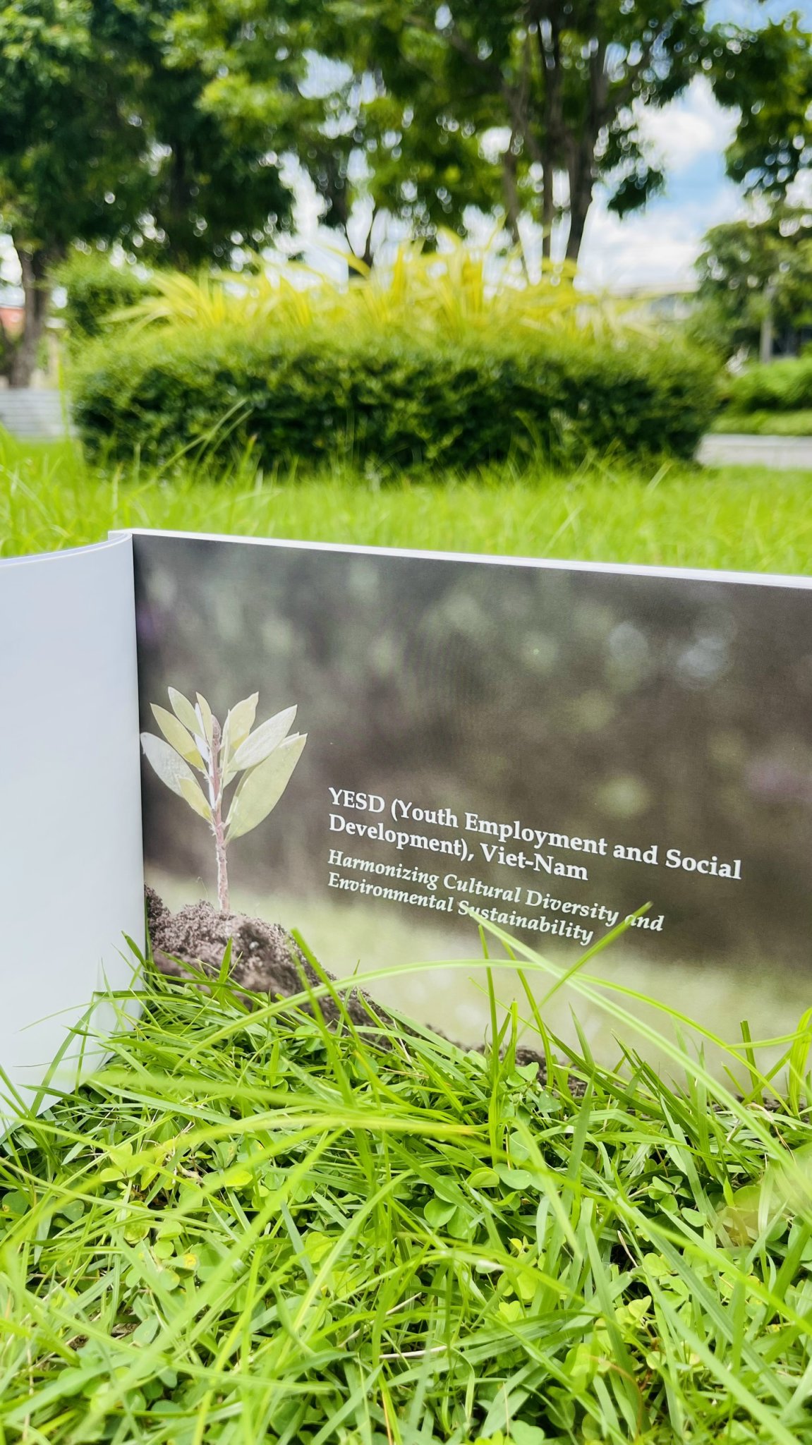 YESD At A Glance - YESD Authentic Responsible Tours